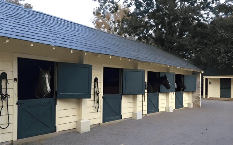 Cómo construir un establo para caballos: una guía práctica para lograr ...