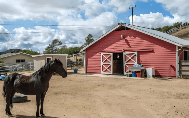 Cómo construir un establo para caballos: una guía práctica para lograr ...