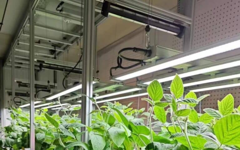 How to Build a Shipping Container Farm: Benefits, Tips, and Steps ...