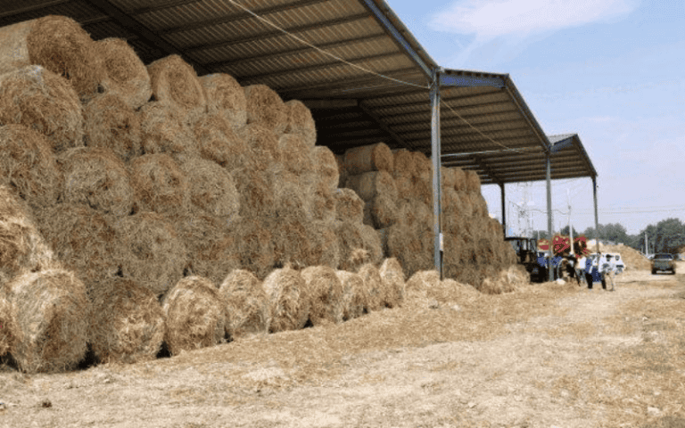 5 Major Types & 27 Common Uses of Farm Buildings