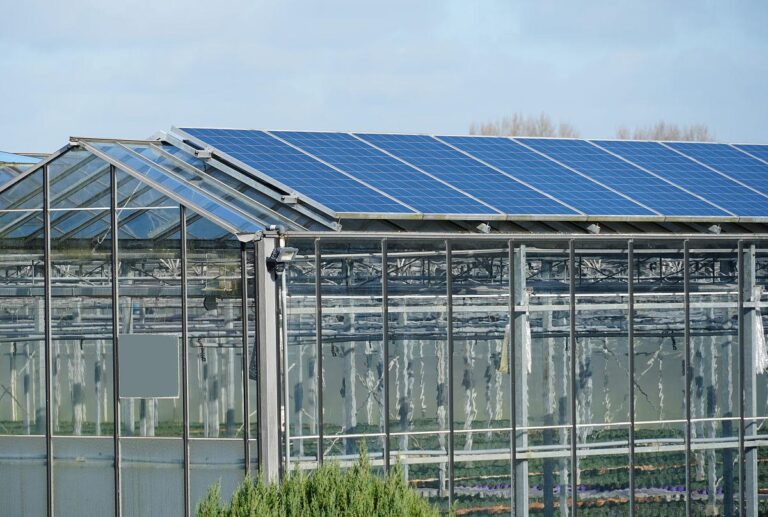 The Complete Guide to Building a Solar-Powered Greenhouse