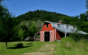 What is the Difference Between a Barn and a Stable? - SteelPRO PEB