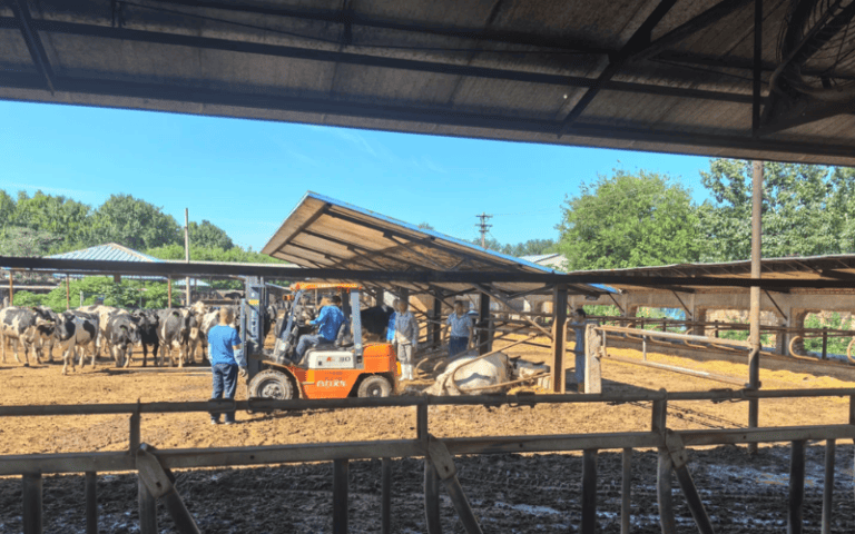 Farm Structure vs Farm Building: Differences & Modern Uses