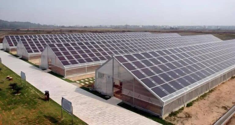 Solar Structures 101: Types, Materials, and Design Insights