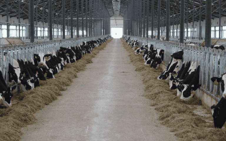 5 Major Types & 27 Common Uses of Farm Buildings