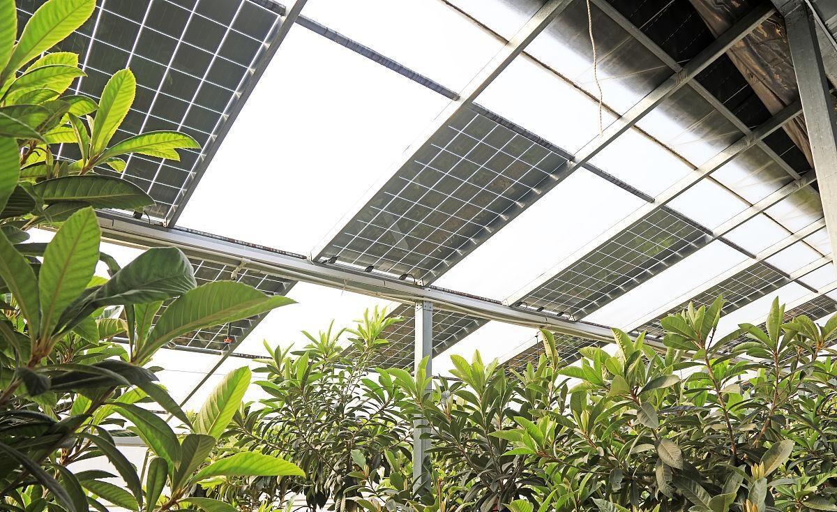 The Complete Guide to Building a Solar-Powered Greenhouse